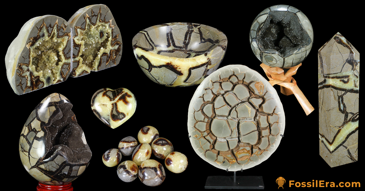 Septarian For Sale - FossilEra.com