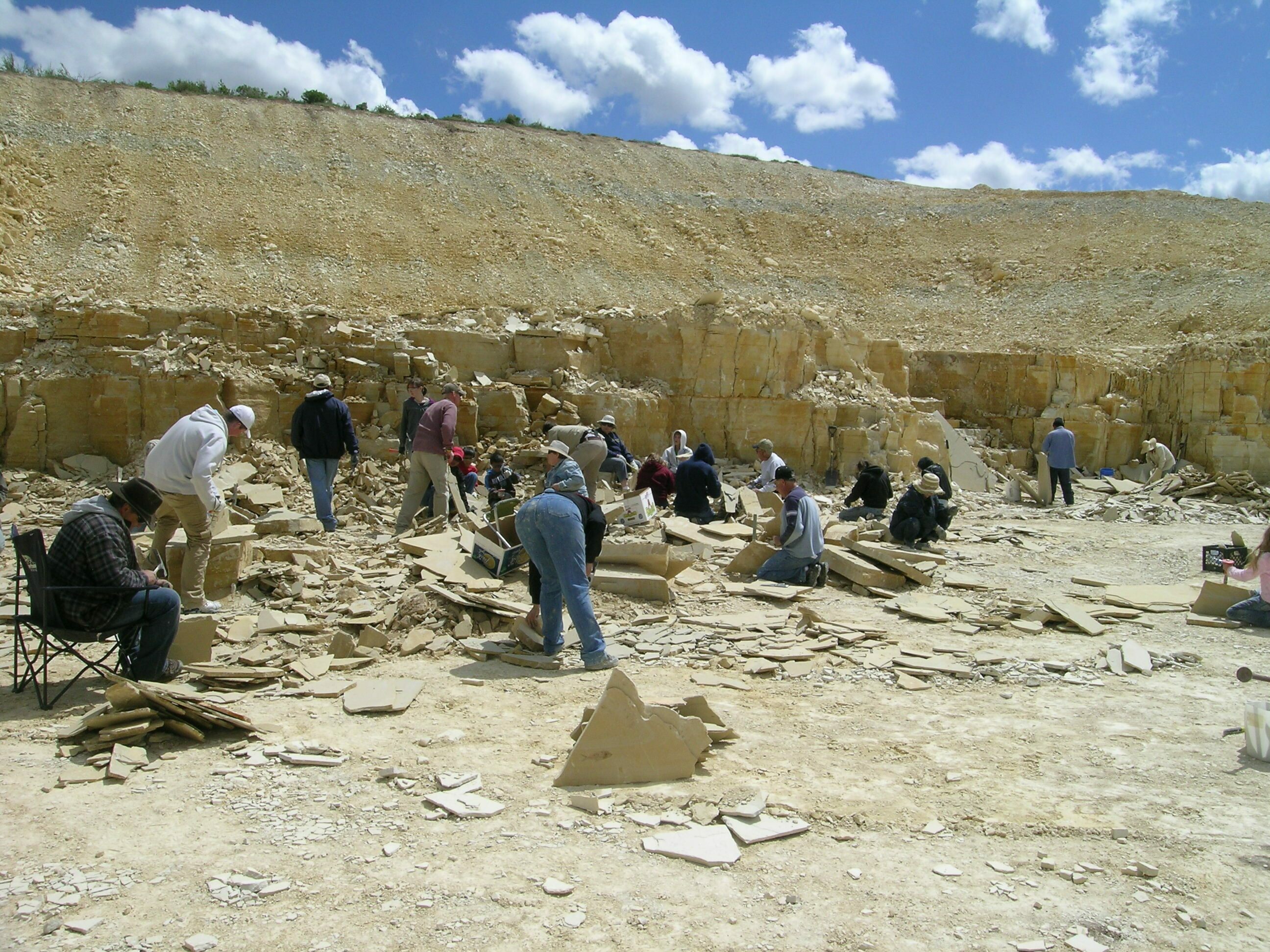 Where To Find Fossils? Fossil Parks & Pay-Per-Dig Quarries - FossilEra.com