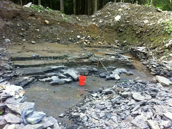 Trip Report: Walcott-Rust Quarry Trilobites – August, 2013 - FossilEra.com