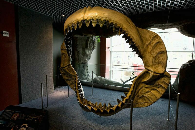 Top 11 Scariest Prehistoric Animals - FossilEra.com