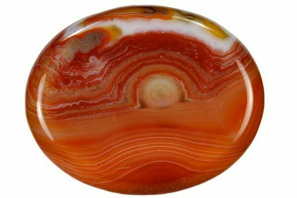 Agate, Chalcedony & Jasper - What’s the Difference? - FossilEra.com