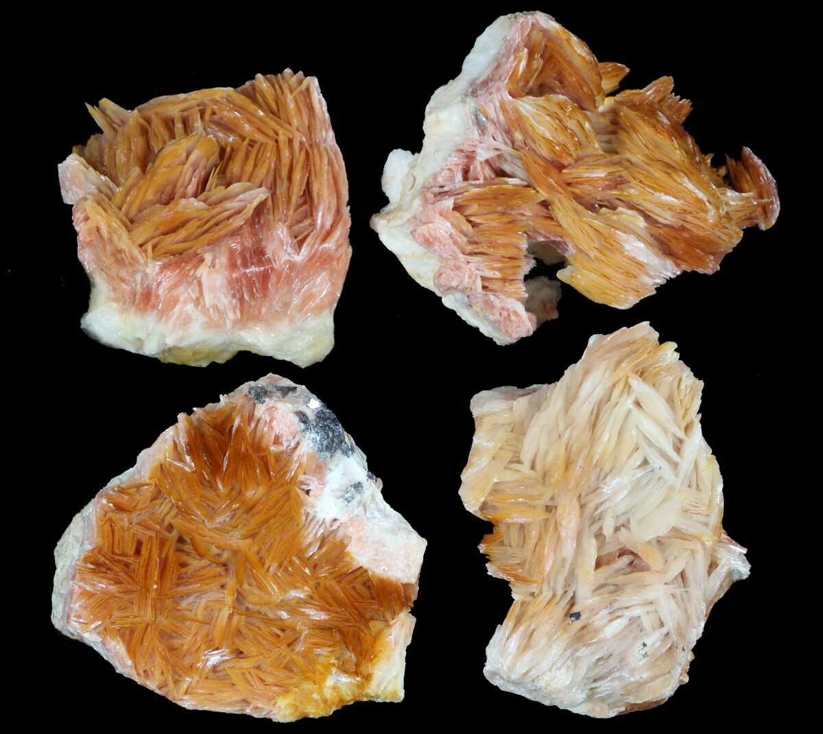 Bulk Orange Bladed Barite - Single Specimen For Sale - FossilEra.com
