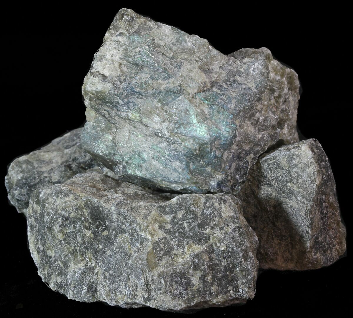2-3" Rough Labradorite Chunks - Madagascar For Sale - FossilEra.com