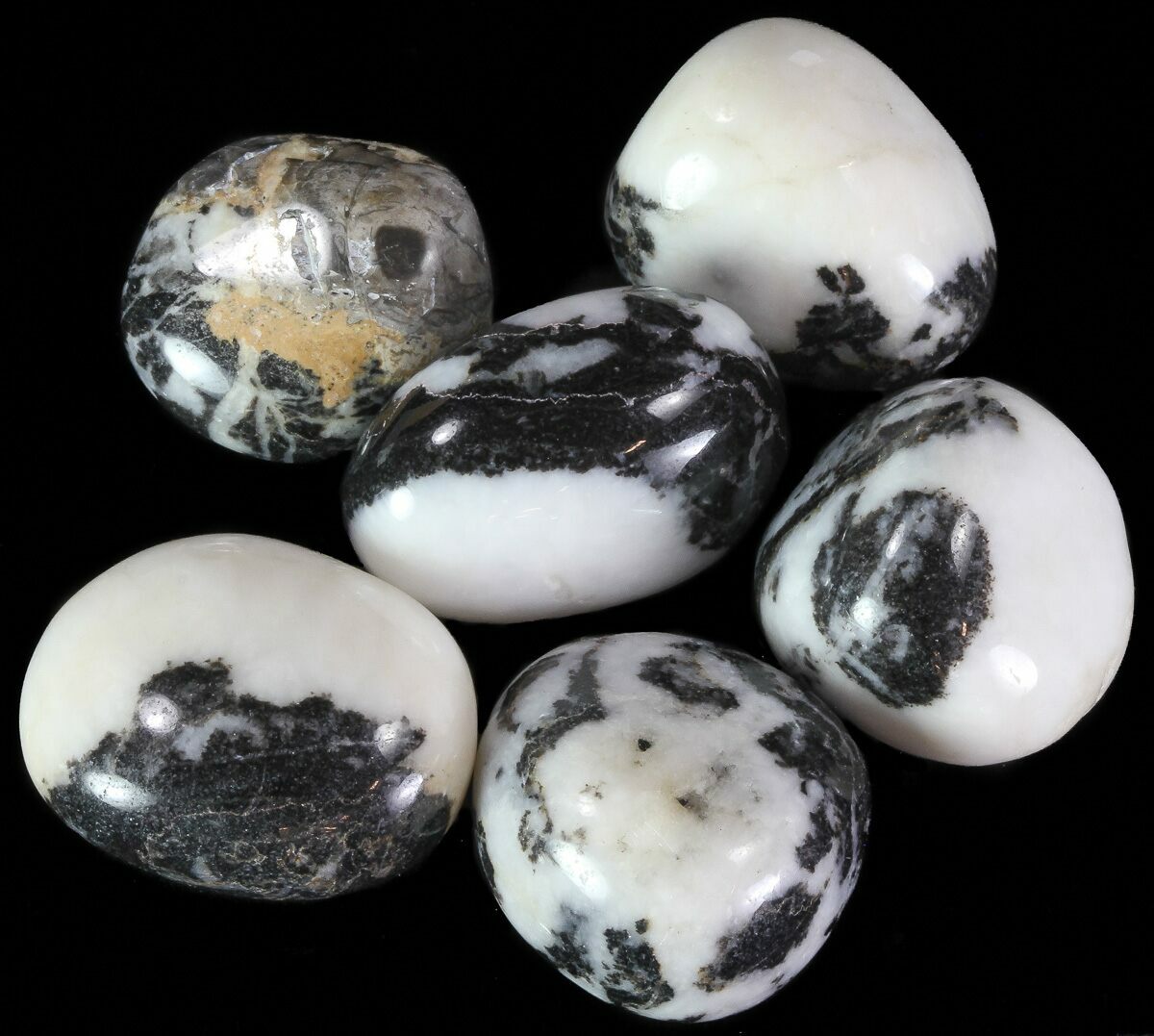 Bulk Polished Zebra Jasper - 8oz. (~ 14pc.) For Sale - FossilEra.com