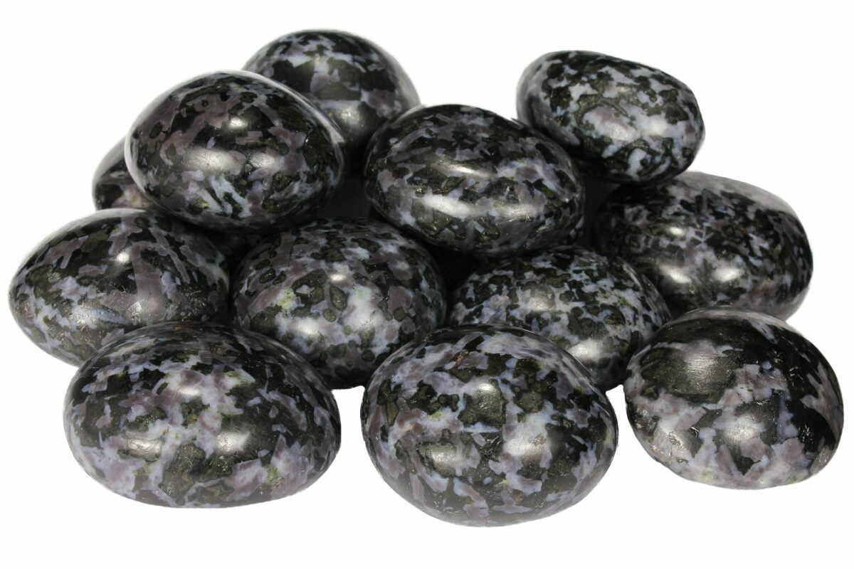 1 3/4" Polished Indigo Gabbro Palm Stone For Sale - FossilEra.com