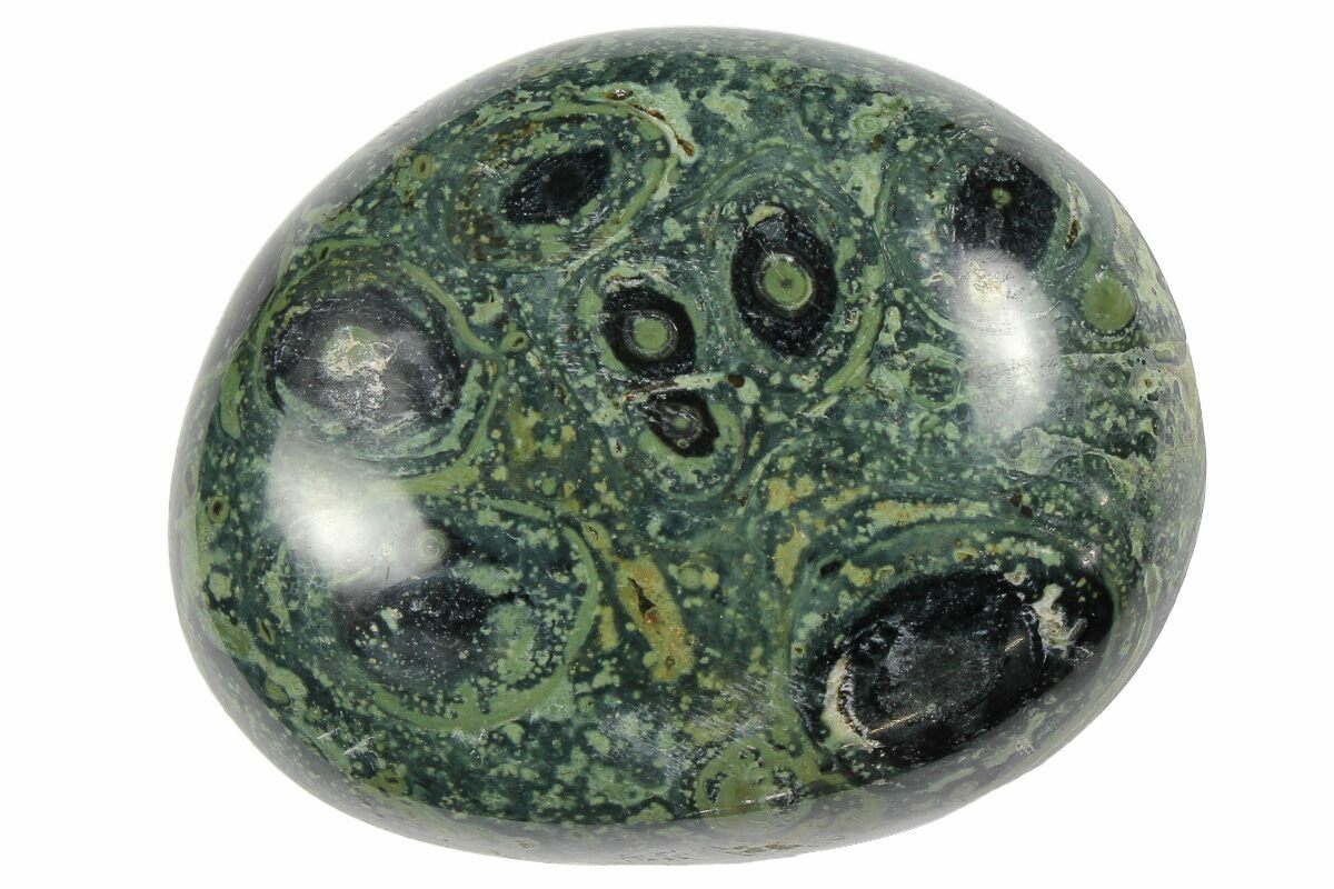 2" Polished Kambaba Jasper Pocket Stones For Sale - FossilEra.com