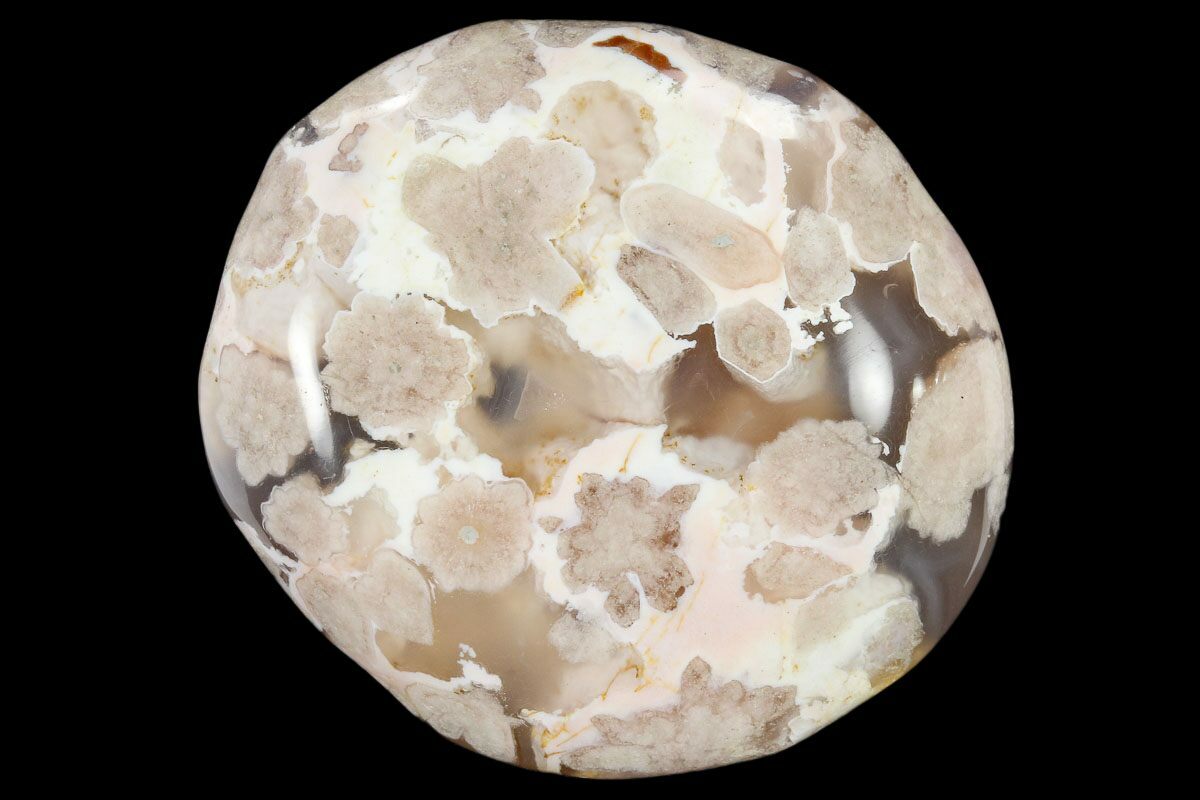 1.5 to 2" Polished Flower Agate Pebble - 1 Piece For Sale - FossilEra.com