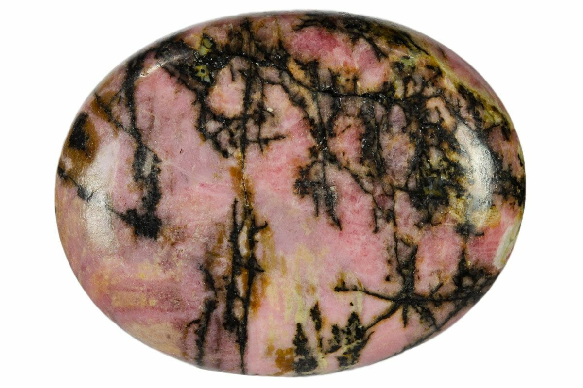 1.7 Polished Rhodonite Pocket Stone For Sale - FossilEra.com