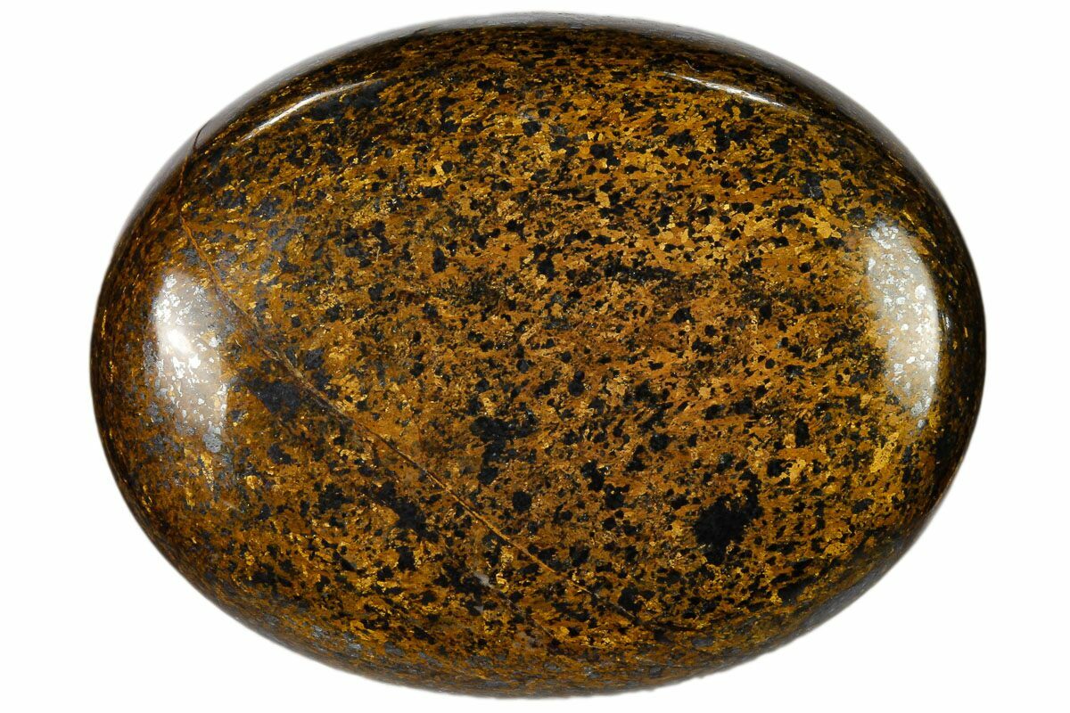1.8" Polished Bronzite Pocket Stone For Sale - FossilEra.com