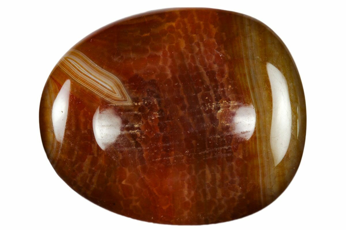 2" Polished Red Snakeskin Agate Worry Stone For Sale - FossilEra.com