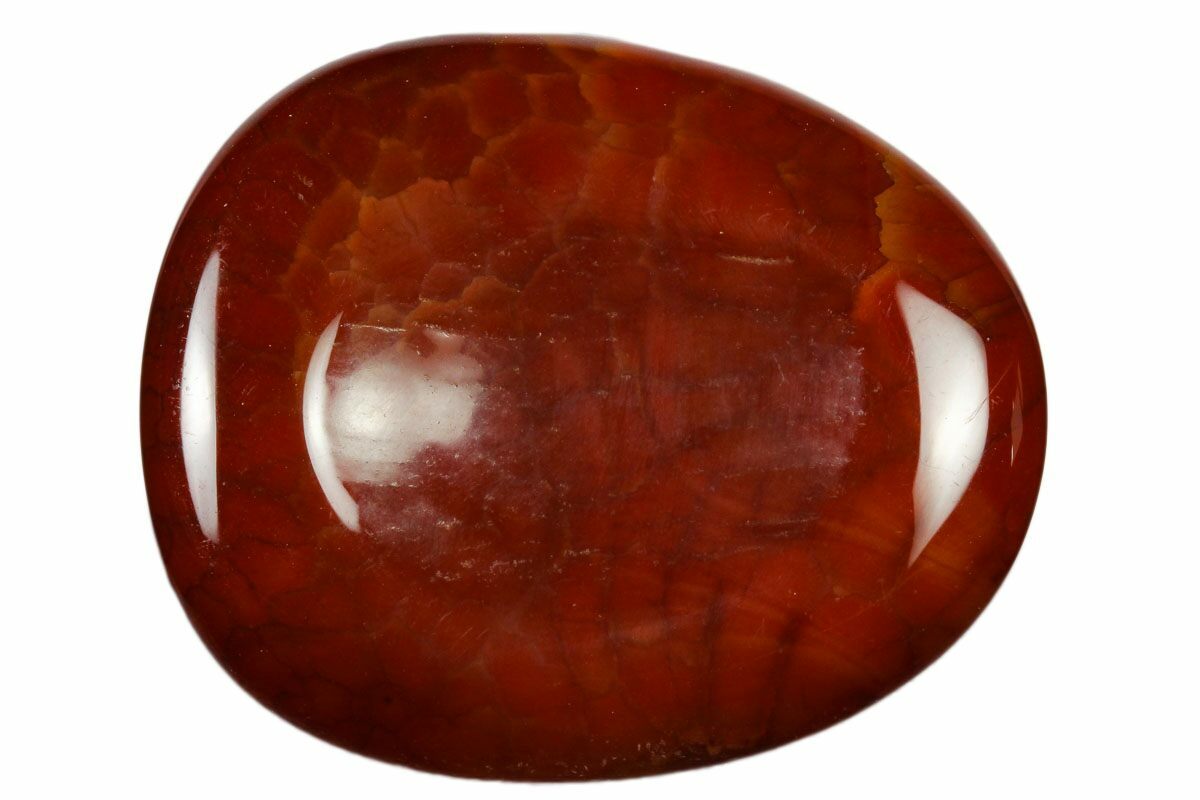 2" Polished Red Snakeskin Agate Worry Stone For Sale - FossilEra.com