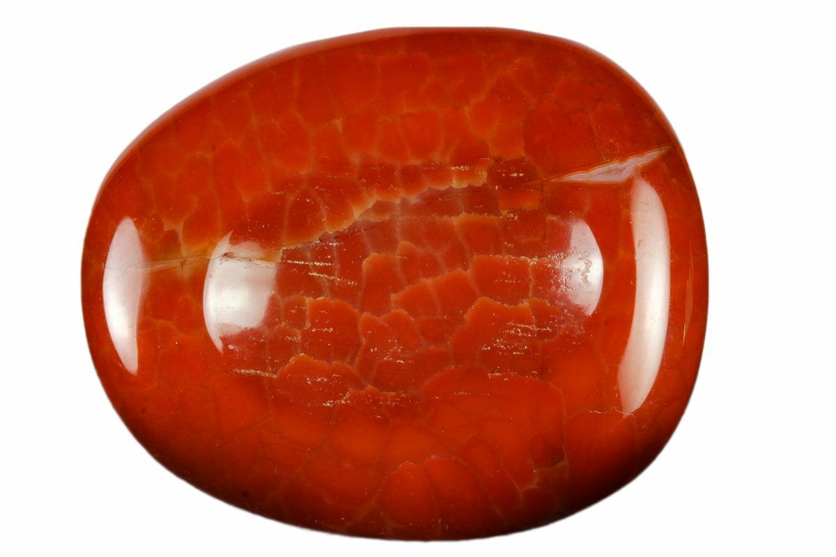 2" Polished Red Snakeskin Agate Worry Stone For Sale - FossilEra.com