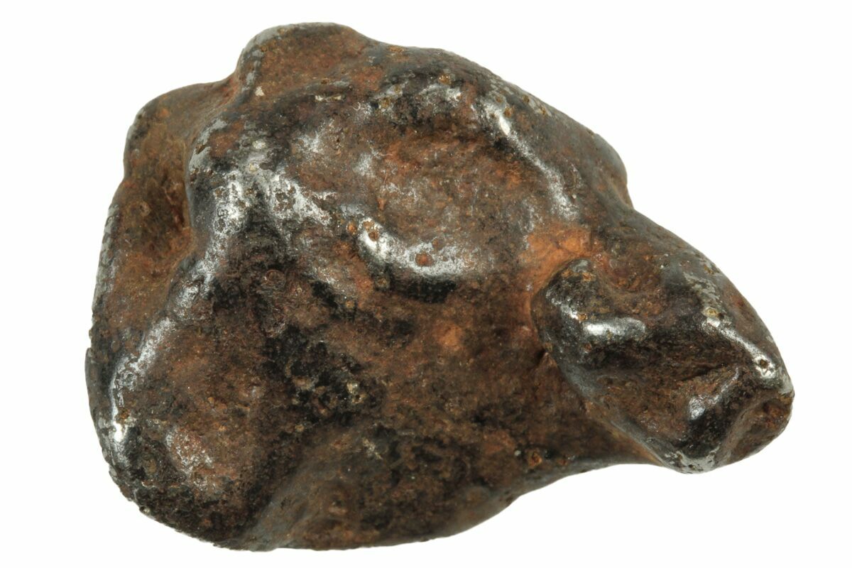 Canyon Diablo Iron Meteorites (6-8 Grams) - Arizona For Sale ...