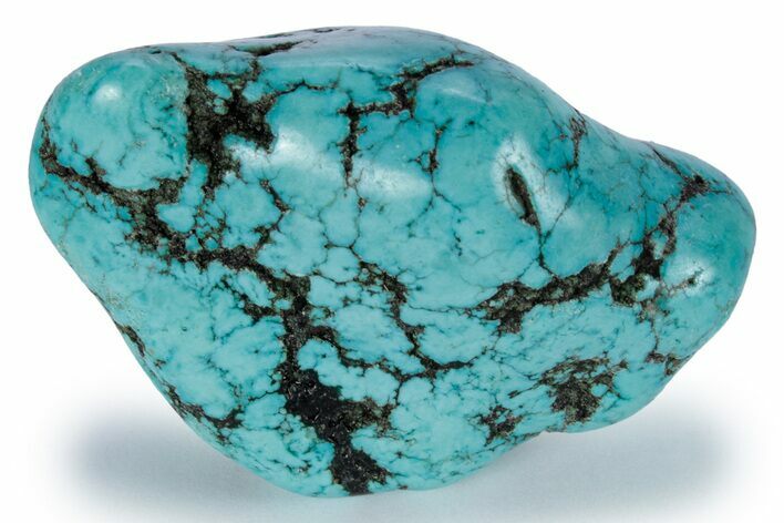 2 to 2 1/2" Tumbled Blue Turquoise Stones For Sale - FossilEra.com