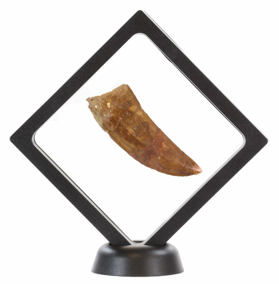 4.4" (Large) Floating Frame Display Cases With Stands - Black For Sale ...