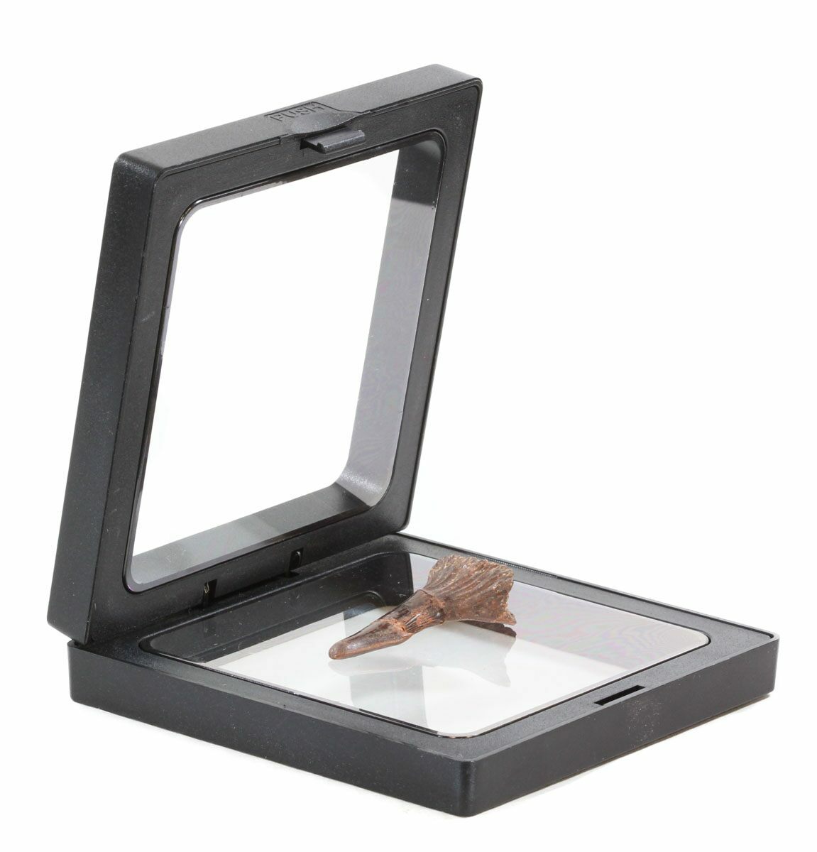 3.5" (Medium) Floating Frame Display Case - Stands Included For Sale ...