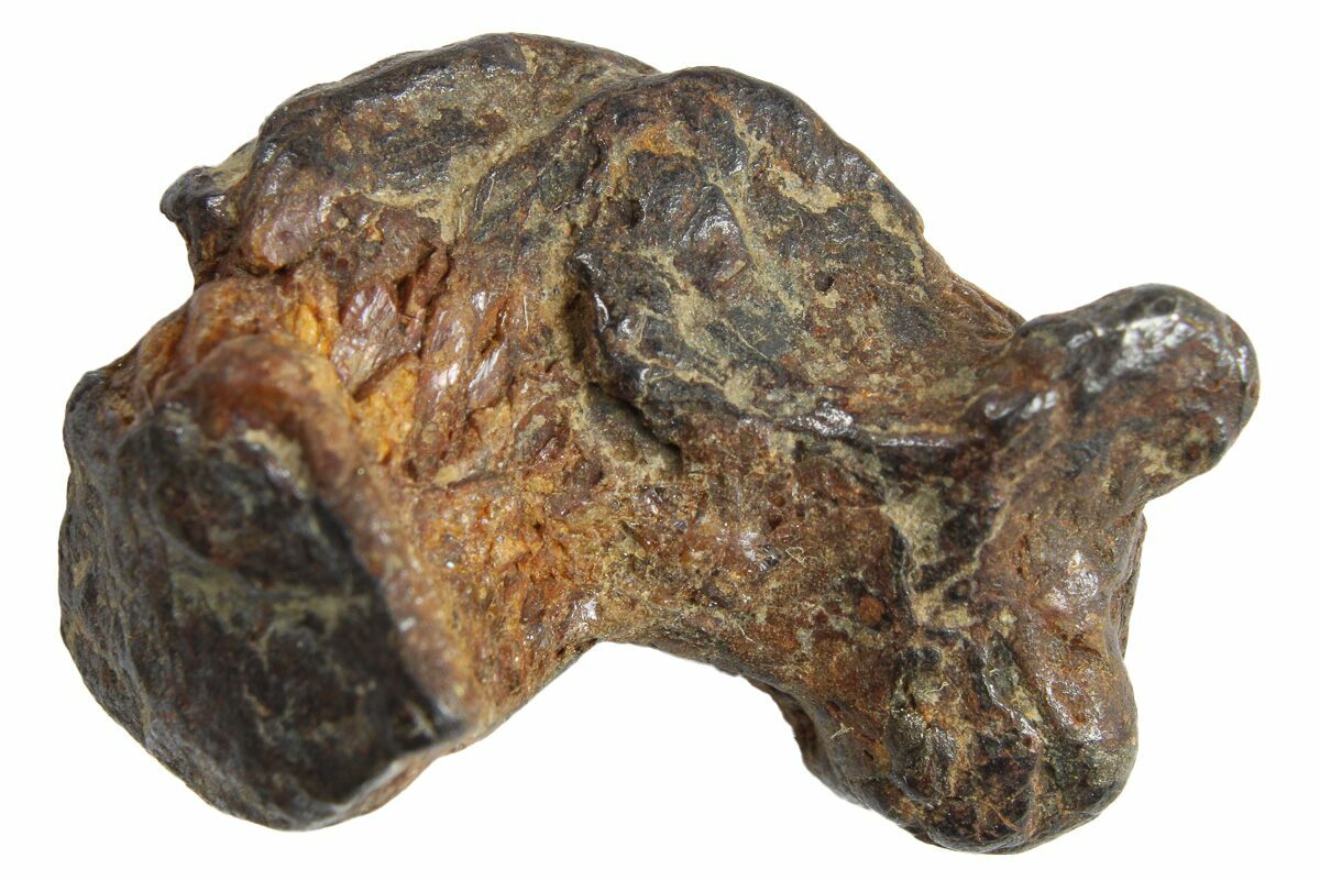 Sericho Pallasite Meteorite Metal Skeletons - Kenya For Sale ...