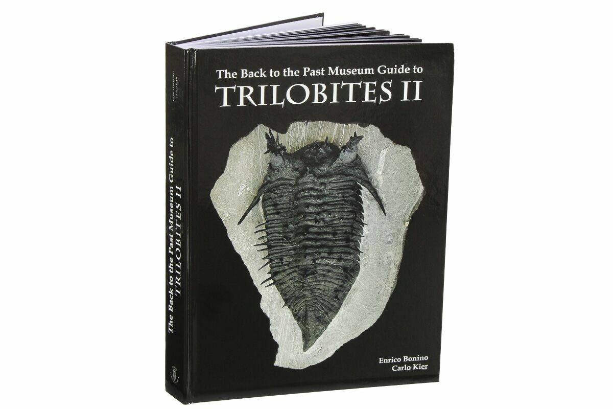 Book - The Back to the Past Museum Guide to Trilobites II For Sale ...
