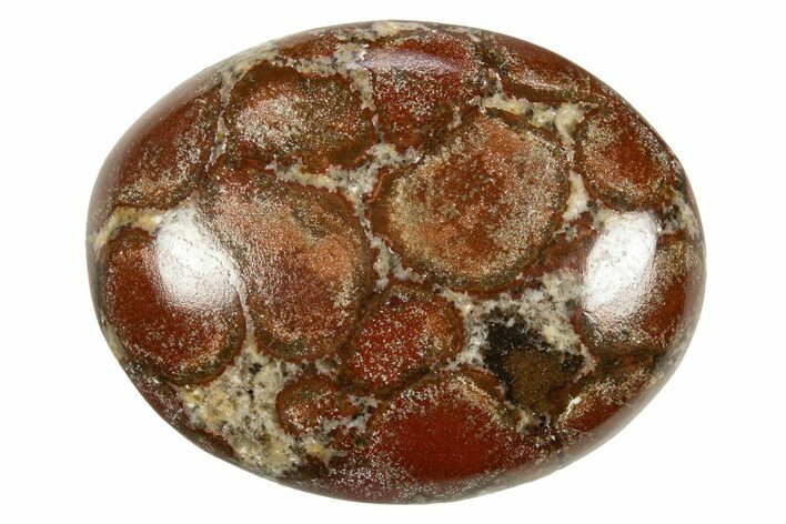 Polished King Cobra Orbicular Jasper Pocket Stones For Sale - FossilEra.com