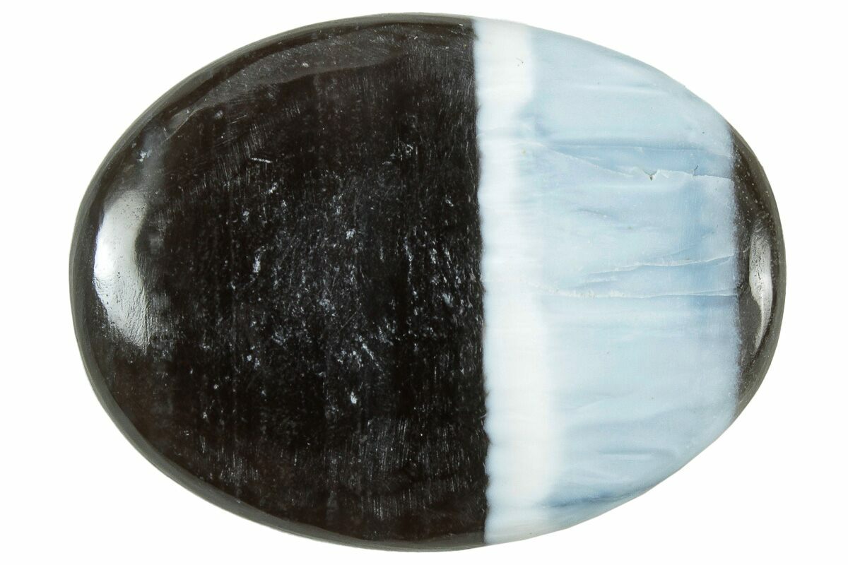 1.5" Polished Owyhee Blue Opal Worry Stones For Sale - FossilEra.com