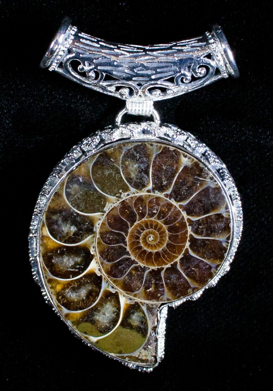Ammonite Pendant For Sale (#3595) - FossilEra.com