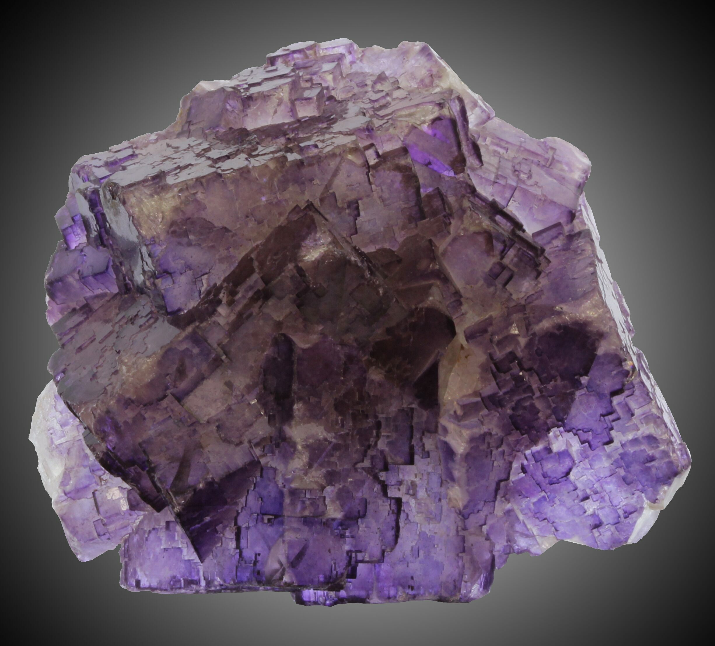 Mexican Fluorite For Sale - FossilEra.com