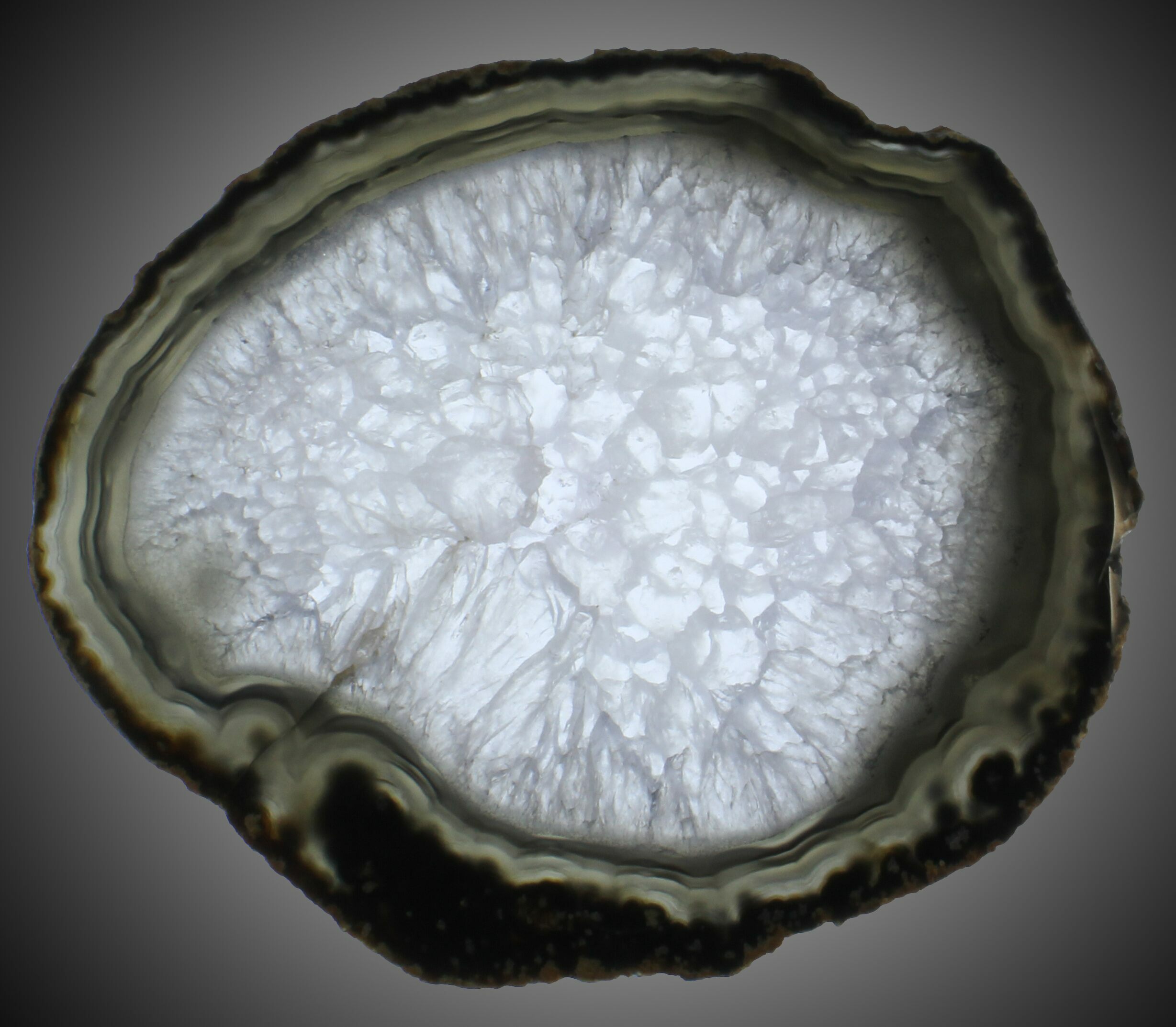 6" Polished Brazilian Agate Slice For Sale (#31334) - FossilEra.com