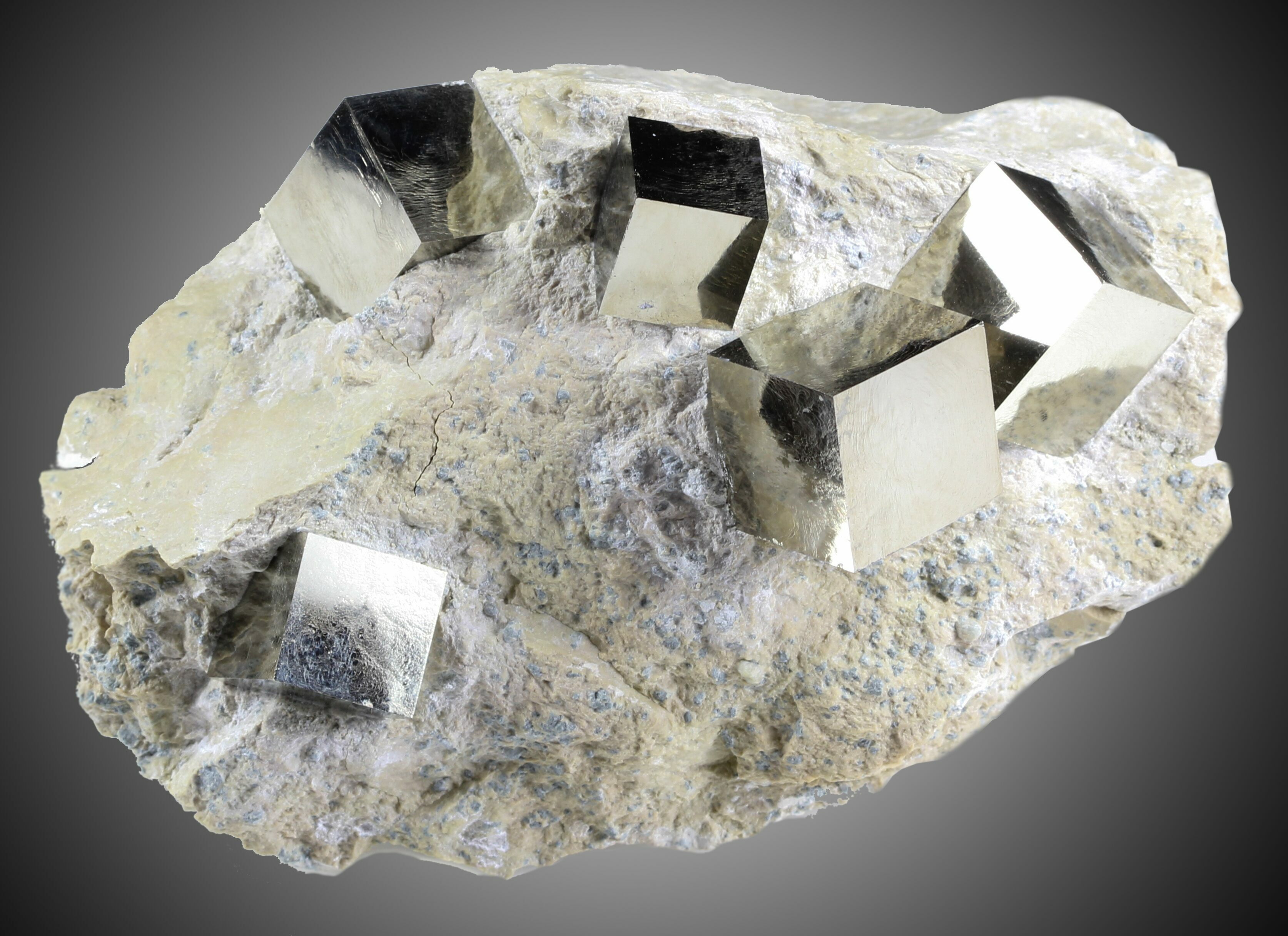 5.5" Museum Quality Pyrite Cube Cluster In Matrix - Spain For Sale ...