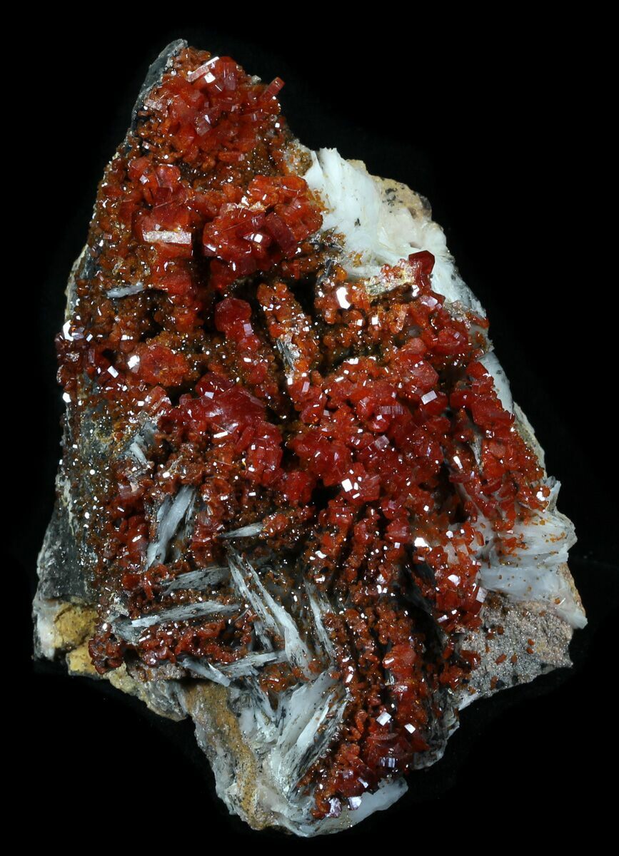 Huge 5.1" Deep Red Vanadinite Crystal Cluster - Morocco For Sale ...