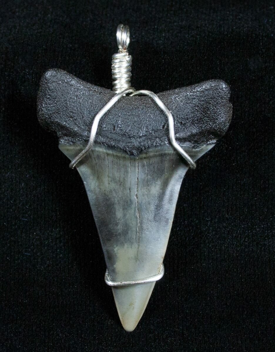 Wire Wrapped Fossil Mako Tooth Pendant For Sale (#3891) - FossilEra.com