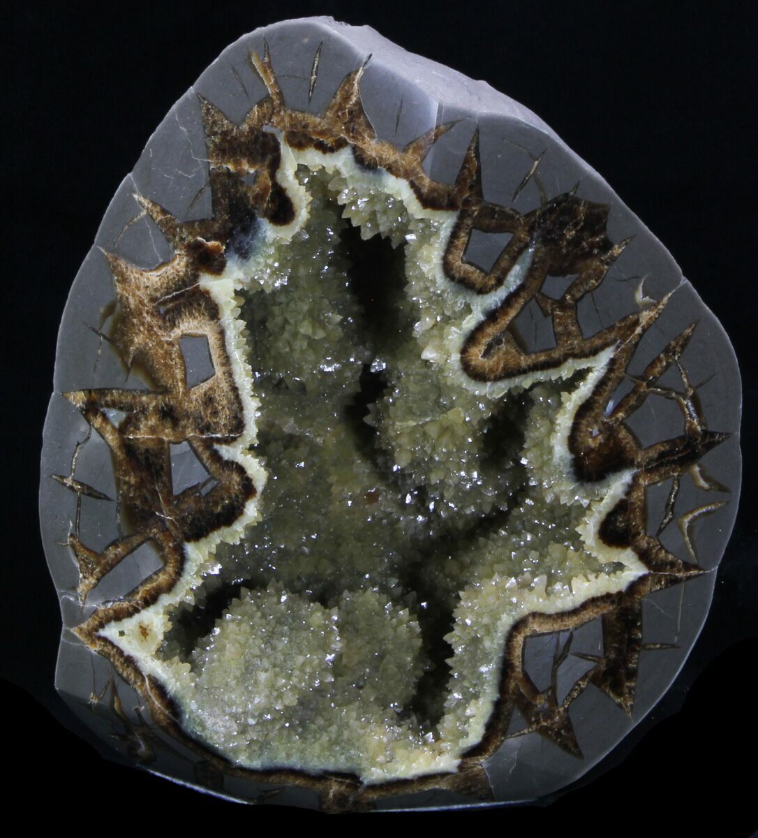 6.7" Crystal Filled Septarian Geode - Utah For Sale (#33094 ...