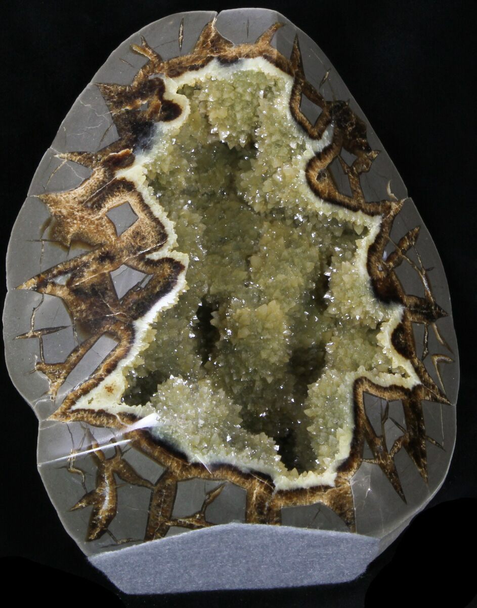 6.7" Crystal Filled Septarian Geode - Utah For Sale (#33094 ...