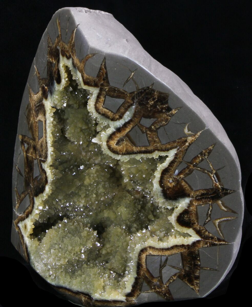 6.7" Crystal Filled Septarian Geode - Utah For Sale (#33094 ...