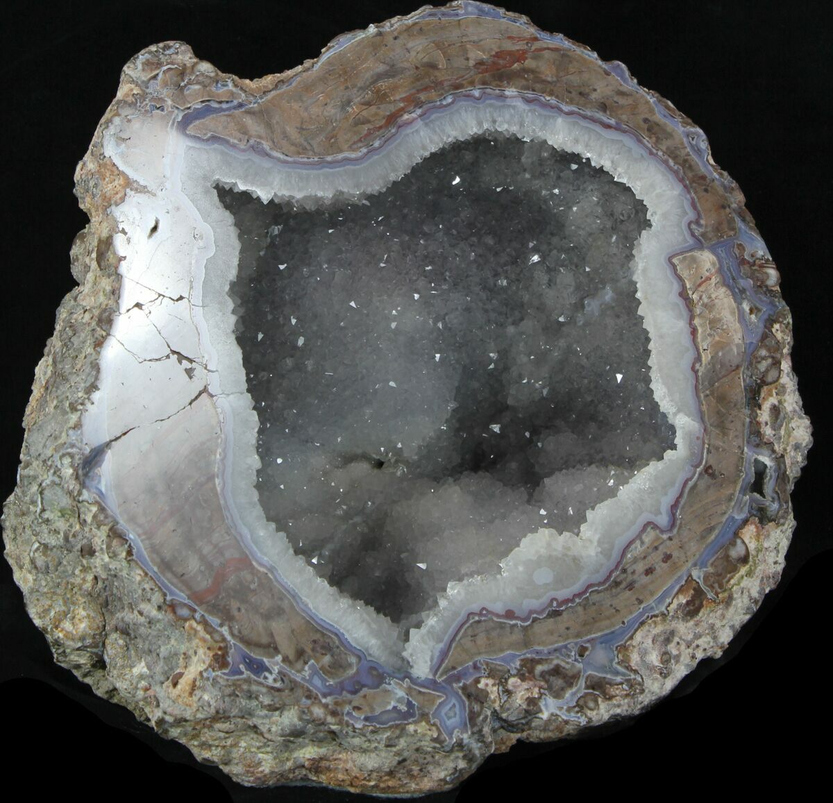 Huge 9.4" Sparkling Dugway Geode - Exceptional Example For Sale (#33196 ...