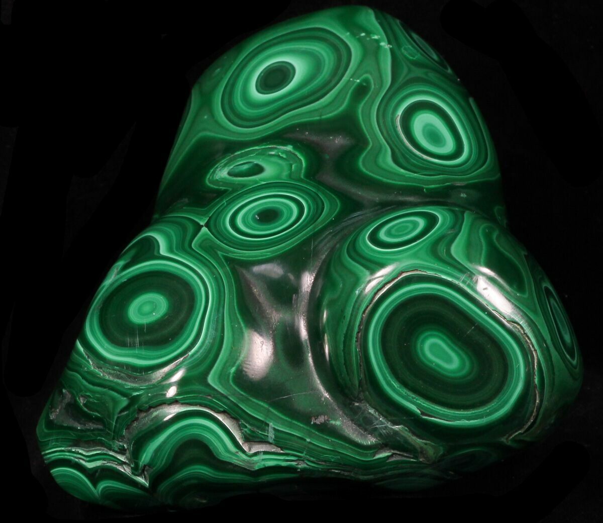 4.1" Polished Malachite Specimen - Congo For Sale (#33483) - FossilEra.com