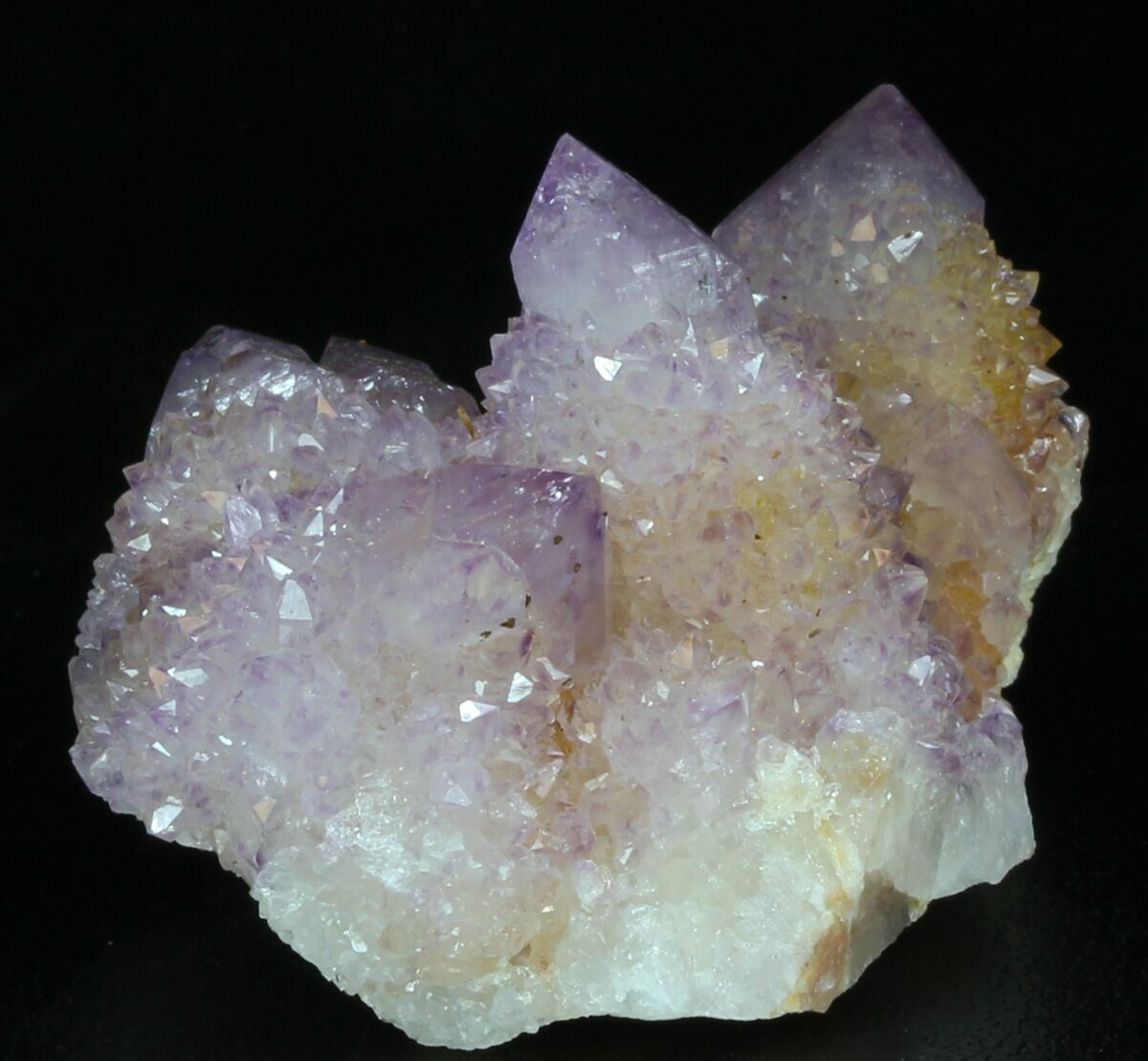 2.45" Cactus Quartz (Amethyst) Cluster - South Africa For Sale (#33622 ...
