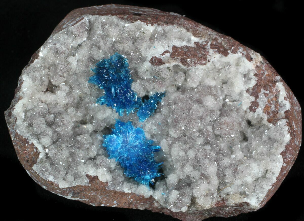 Bright Blue Cavansite Crystals on Stilbite - India For Sale (#33698 ...