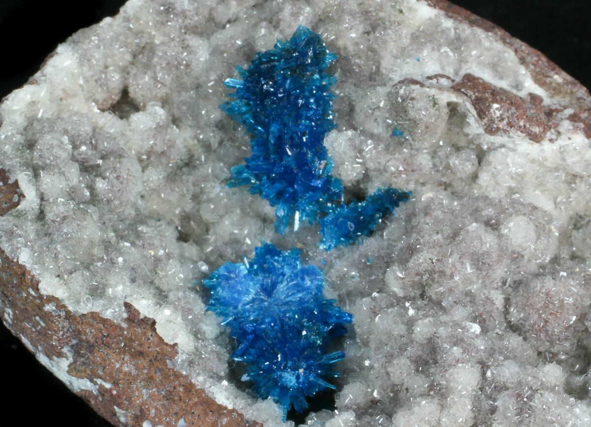 Bright Blue Cavansite Crystals on Stilbite - India For Sale (#33698 ...