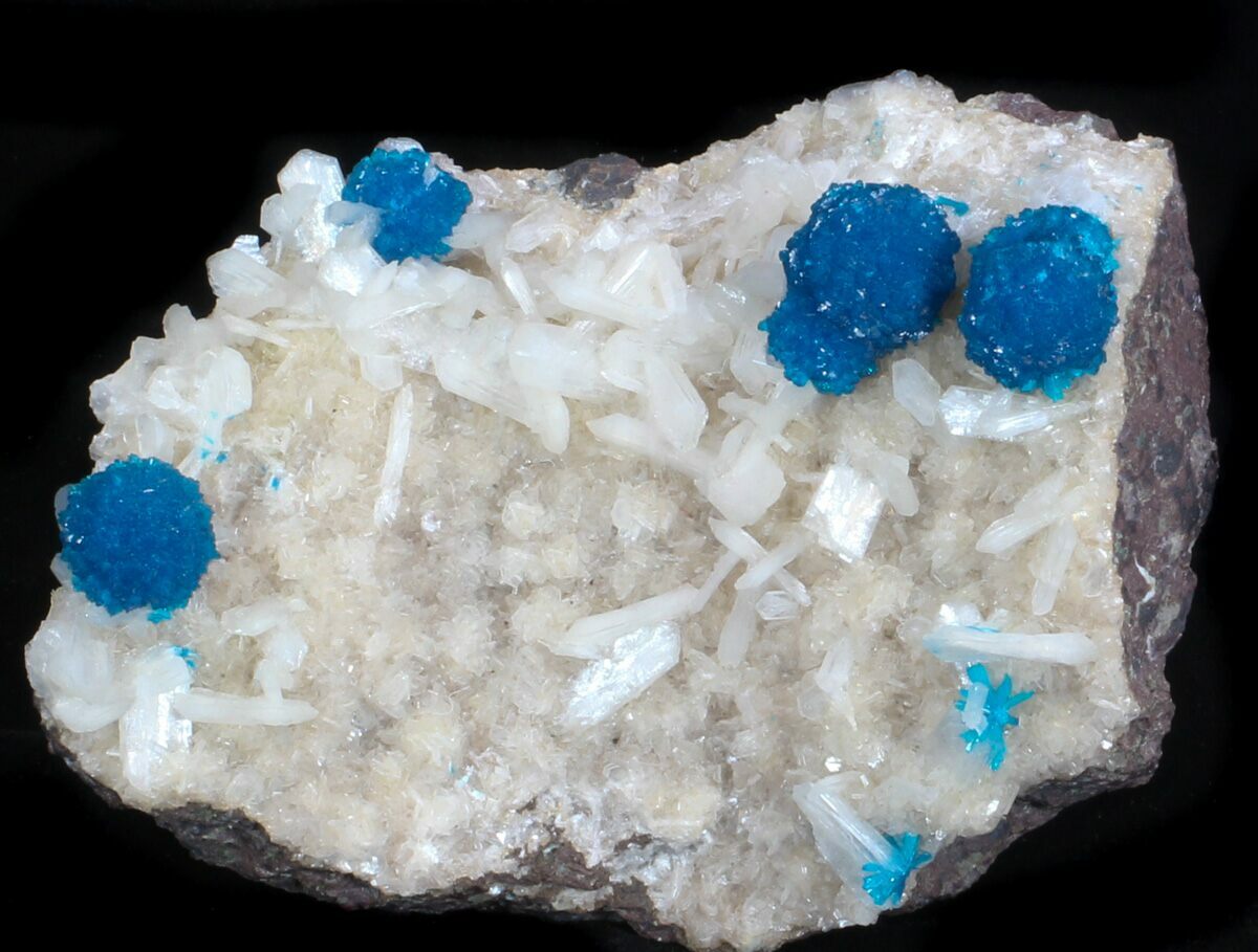 Spectacular Cavansite Crystals on Stilbite - India For Sale (#33699 ...