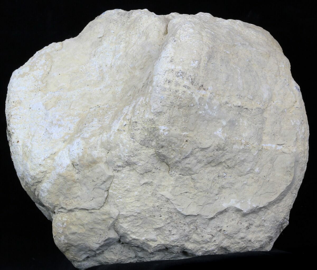 7.5" Large, Whole/Unbroken Keokuk Geode For Sale (#33961) - FossilEra.com
