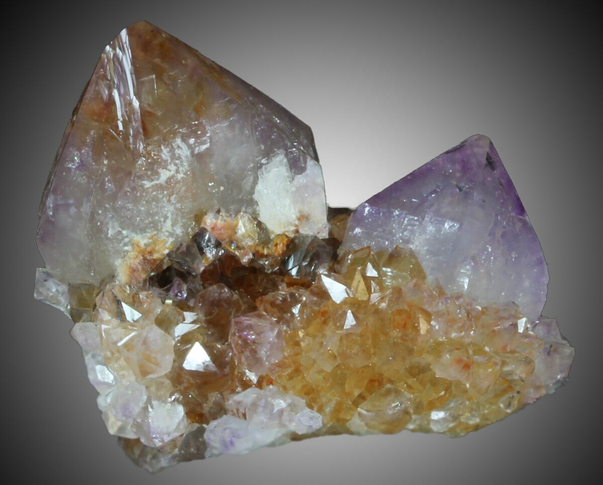 1.35" Cactus Quartz (Amethyst) Crystals - South Africa For Sale (#33901 ...