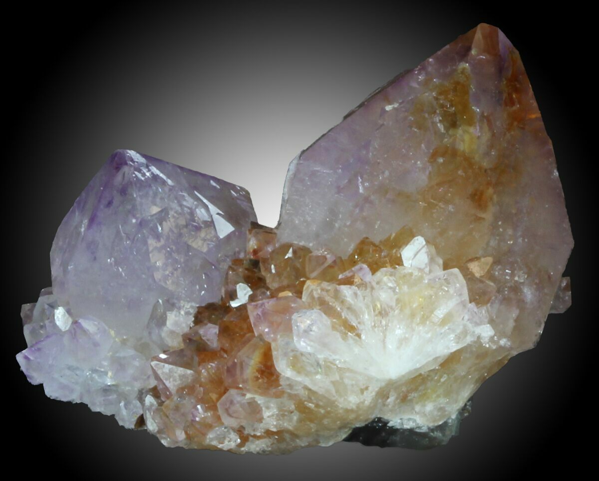 1.35" Cactus Quartz (Amethyst) Crystals - South Africa For Sale (#33901 ...