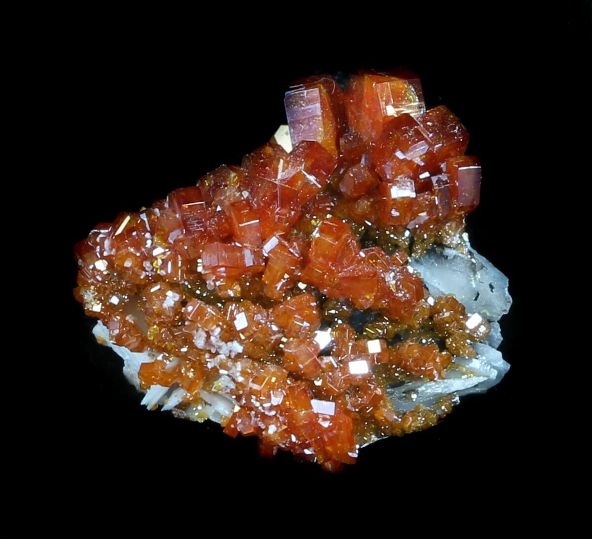 Miniature Red Vanadinite Crystal Cluster - Morocco For Sale (#34454 ...