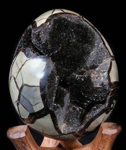 4.7" Septarian Geode - Shiny Black Crystals For Sale (#34719 ...