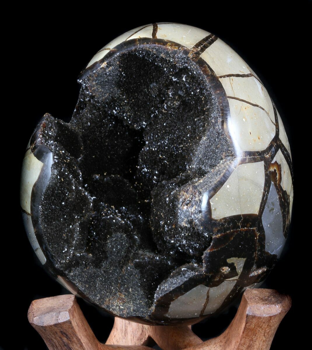 4.7" Septarian Geode - Shiny Black Crystals For Sale (#34719 ...