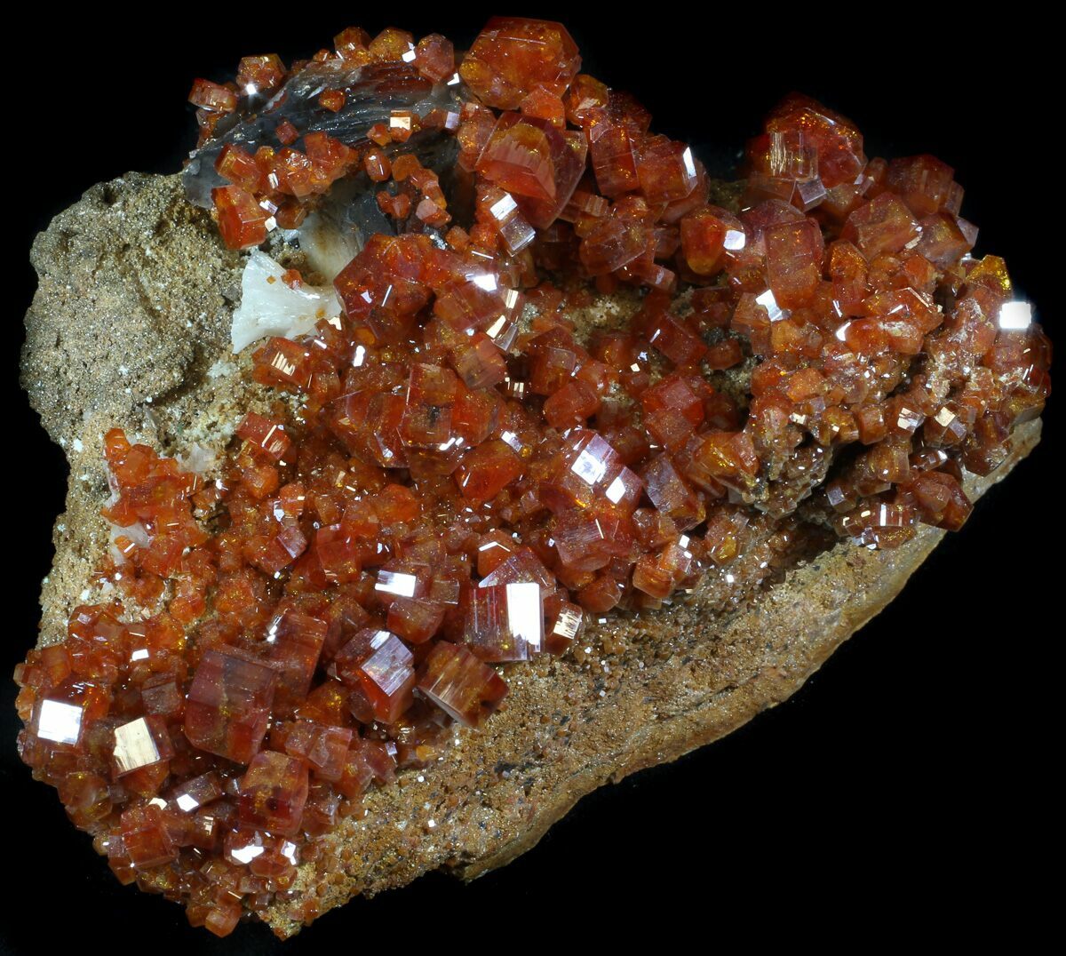 Exceptional 4.2" Vanadinite Crystal Cluster - Morocco For Sale (#34895 ...