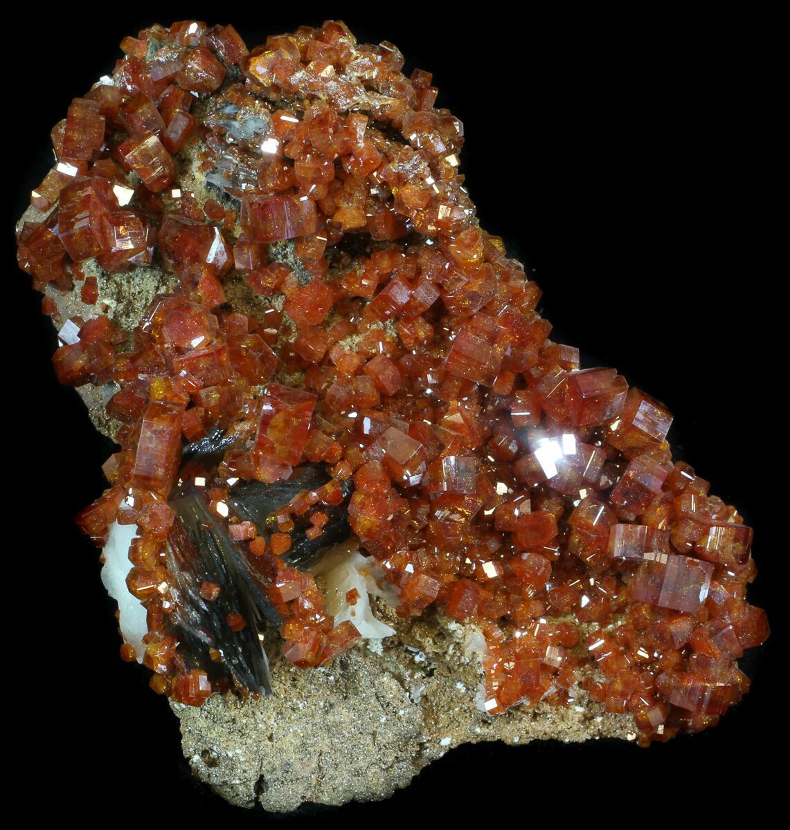 Exceptional 4.2" Vanadinite Crystal Cluster - Morocco For Sale (#34895 ...