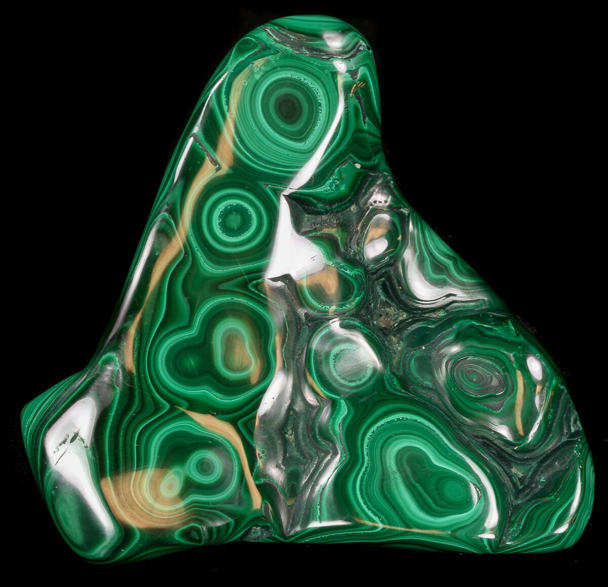 4.1" Polished Malachite Specimen - Congo For Sale (#35547) - FossilEra.com