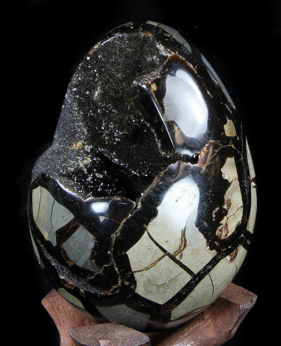 5.8" Septarian "Dragon Egg" Geode - Shiny Black Crystals For Sale ...