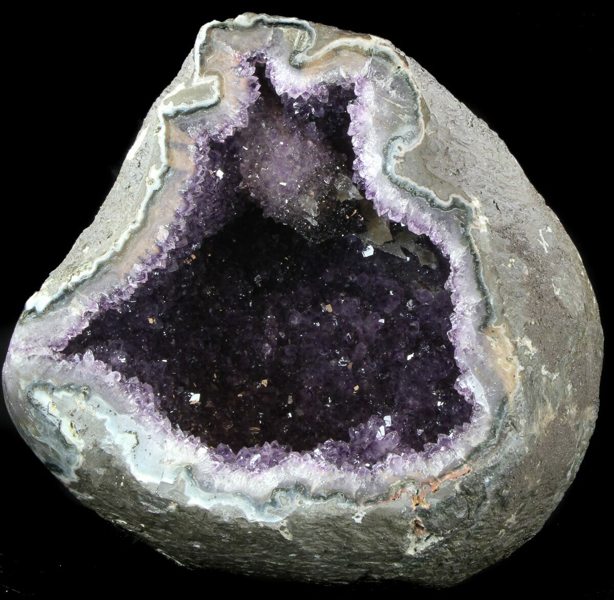 14.2" High Quality Amethyst Geode (63 lbs) - Check Out Video For Sale ...